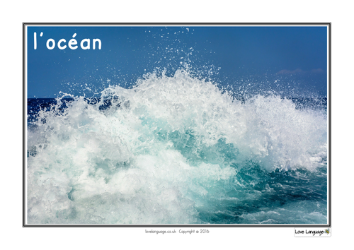 French Living Things - Animals and their habitats flashcards | Teaching ...