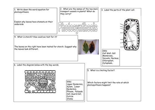 NEW Edexcel GCSE Biology (9-1) Topic 6 - Plant structures and their ...