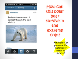 Adapt and survive | Teaching Resources