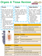 GCSE Biology Tissues & Organs Revision Lesson | Teaching Resources