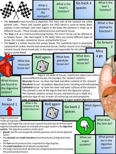 GCSE Biology Tissues & Organs Revision Lesson | Teaching Resources