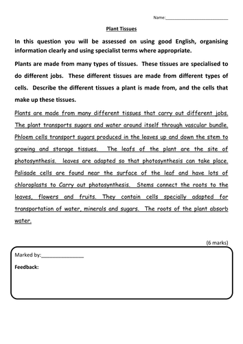 GCSE Biology Tissues & Organs Revision Lesson | Teaching Resources