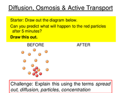 Diffusion, Osmosis & Active transport | Teaching Resources