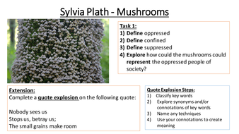 Collection of Nature Poetry Lessons | Teaching Resources