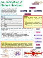 GCSE Biology Nerves & Reflexes Revision Lesson | Teaching Resources