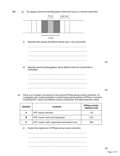 Ultimate A Level Biology Revision Pack 4 - Notes and Exam Questions ...