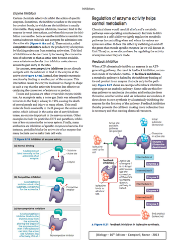 OUTSTANDING A Level Biology Lesson - Enzyme Inhibitors | Teaching Resources