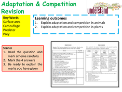 KS4 GCSE Biology Adaptation & Competition Revision Lesson | Teaching ...
