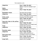 KS4 GCSE Biology Adaptation & Competition Revision Lesson | Teaching ...