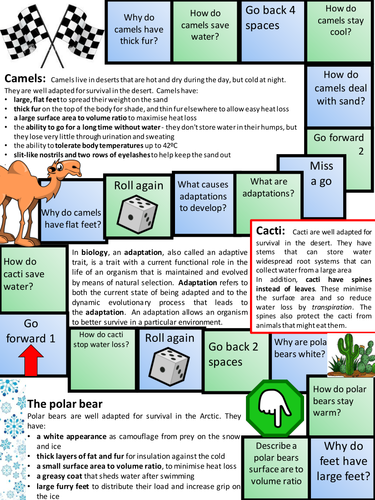 KS4 GCSE Biology Adaptation & Competition Revision Lesson | Teaching ...