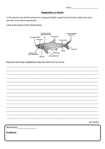KS4 GCSE Biology Adaptation & Competition Revision Lesson | Teaching ...