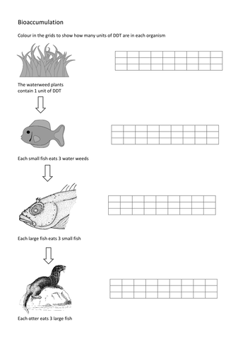 Bioaccumulation | Teaching Resources