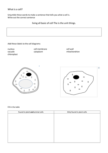 Introduction to cells suite of activiites | Teaching Resources
