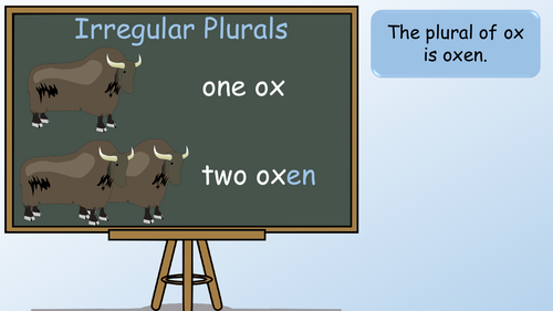 Plurals | Teaching Resources