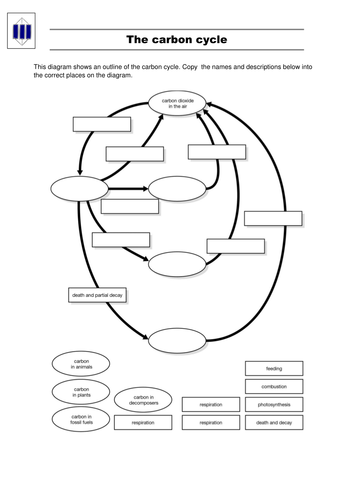 GCSE Biology SOLO Stations Resources on Carbon & Nitrogen Cycles ...