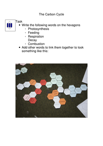 GCSE Biology SOLO Stations Resources on Carbon & Nitrogen Cycles ...