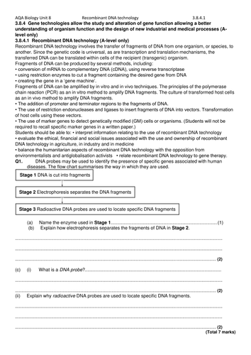 AQA Biology A level Unit 8 Revision Gene technology | Teaching Resources