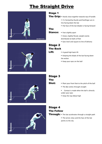 Cricket Resource Bundle | Teaching Resources Cricket Resource Bundle | Teaching Resources