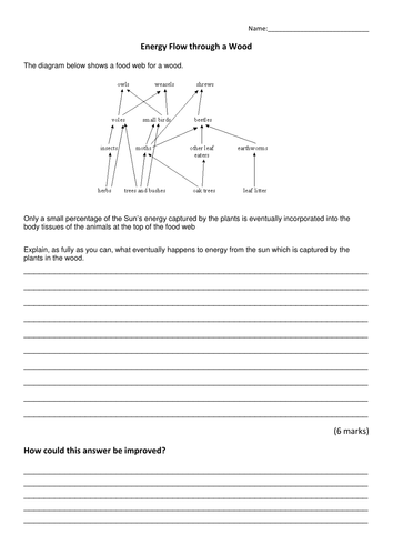 KS4 GCSE Biology Energy & Biomass Revision Lesson | Teaching Resources