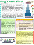KS4 GCSE Biology Energy & Biomass Revision Lesson | Teaching Resources