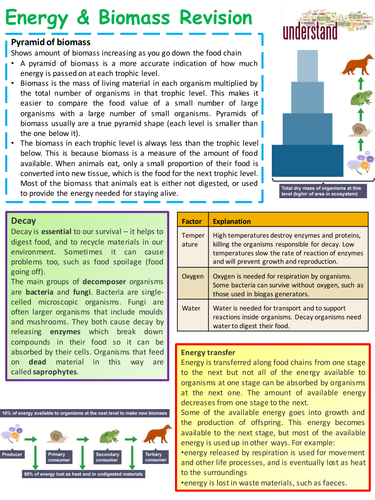 KS4 GCSE Biology Energy & Biomass Revision Lesson | Teaching Resources