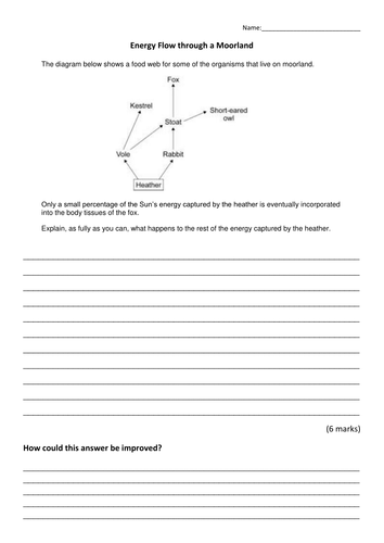 KS4 GCSE Biology Energy & Biomass Revision Lesson | Teaching Resources