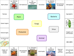 GCSE Classification & Kingdoms | Teaching Resources