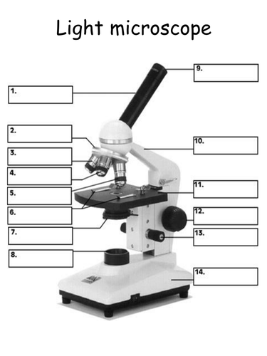 Microscopes and Cells | Teaching Resources