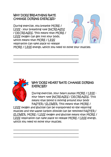 Effects of exercise and smoking on the lungs and body | Teaching Resources