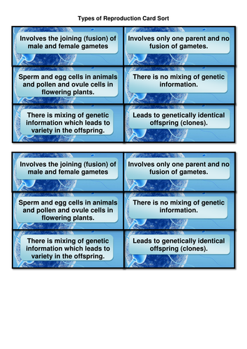 KS4 GCSE Biology Variation & Reproduction Revision Lesson | Teaching ...