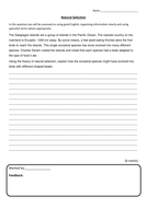 KS4 GCSE Biology Evolution Revision Lesson | Teaching Resources