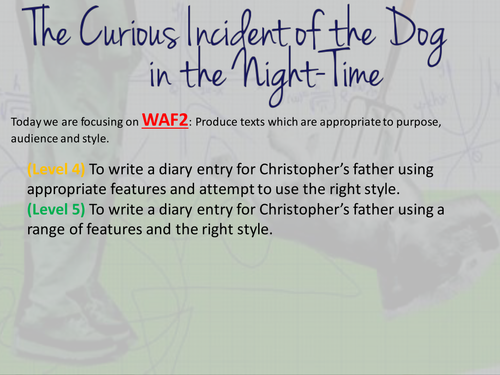 The Curious Incident of the Dog in the Night Time (PLAY) KS3 Unit of ...
