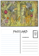 The Tin Forest Planning | Teaching Resources
