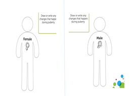 PIES in Adolescence, Puberty and reproduction in males and females ...