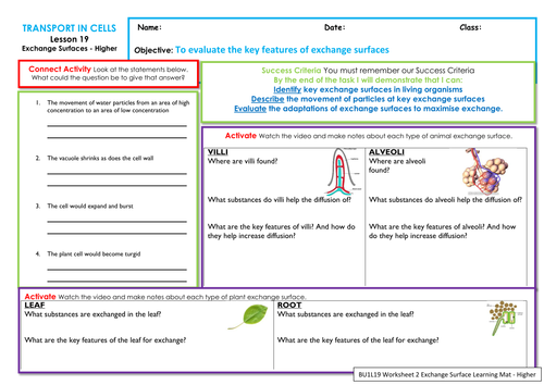 New GCSE Biology Specification - Exchange surfaces Learning Mat ...