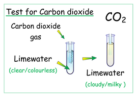 KS3 and KS4 Testing for gases revision and displays by WineAndLillies ...