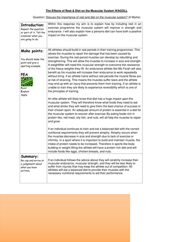 GCSE PE WAGOLL's for 12 mini essay questions. | Teaching Resources