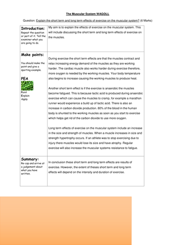 GCSE PE WAGOLL's for 12 mini essay questions. | Teaching Resources