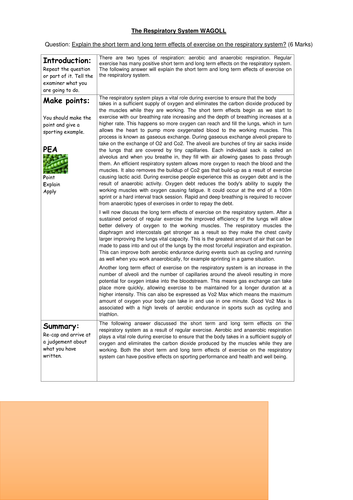 GCSE PE WAGOLL's for 12 mini essay questions. | Teaching Resources