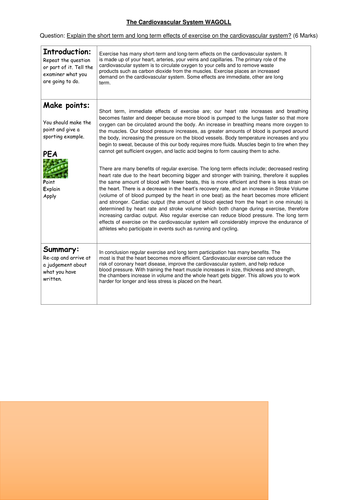 GCSE PE WAGOLL's for 12 mini essay questions. | Teaching Resources