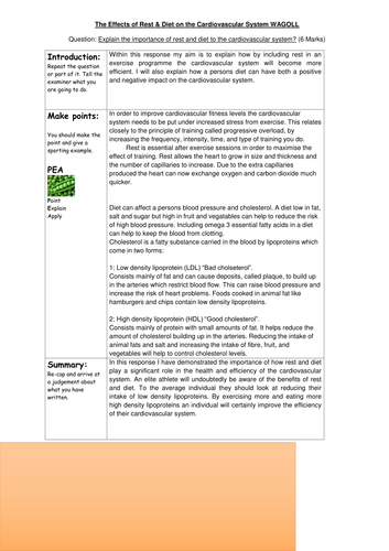 GCSE PE WAGOLL's for 12 mini essay questions. | Teaching Resources