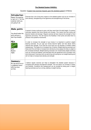 GCSE PE WAGOLL's for 12 mini essay questions. | Teaching Resources