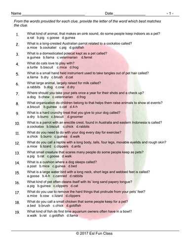 Pets-Pet Care Multiple Choice Worksheet | Teaching Resources