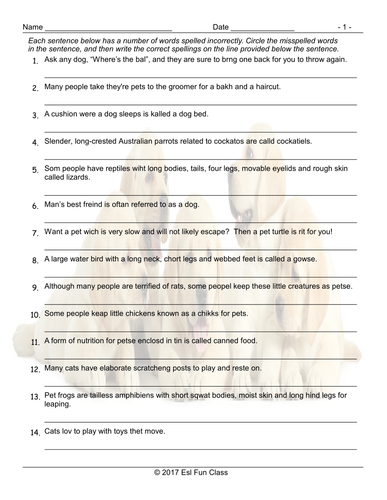 Pets-Pet Care Spelling Hunt Worksheet | Teaching Resources
