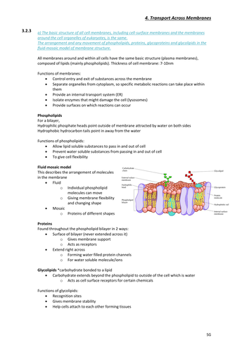 AQA Biology Transport Across Membranes | Teaching Resources