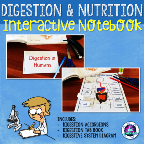 Digestion & Nutrition Bundle | Teaching Resources