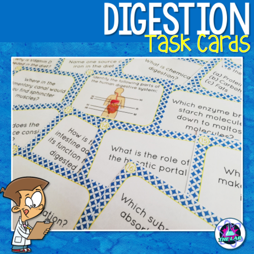 Digestion and Nutrition Task Cards | Teaching Resources