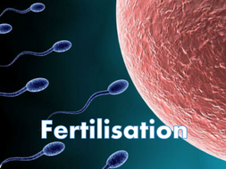 Internal and External Fertilisation | Teaching Resources