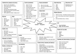 Owl Babies - Nocturnal Animals | Teaching Resources