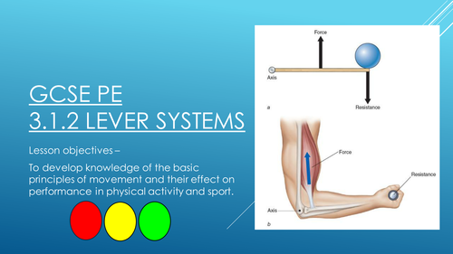 AQA GCSE PE - Levers, planes and axes | Teaching Resources
